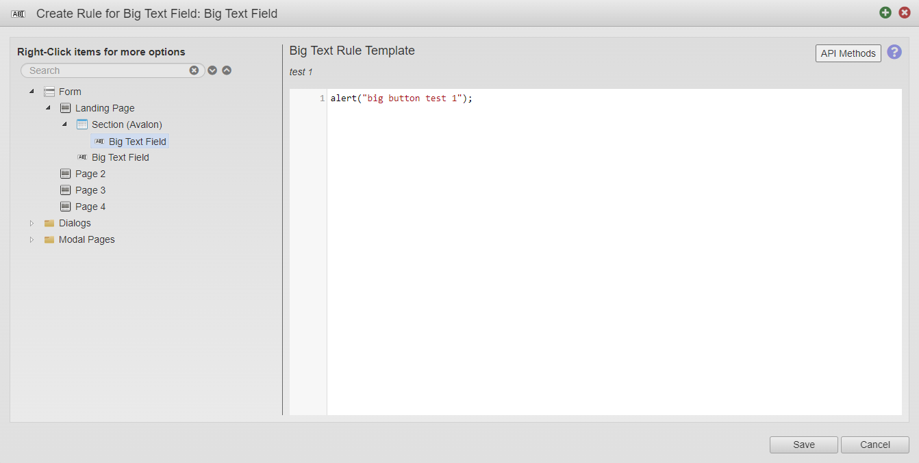 Rule Templates and Rule Helpers in a Form
